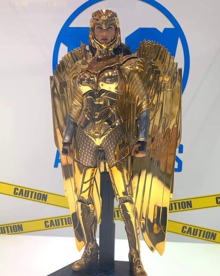 Hot toys MMS577 Wonder Woman 1984 Golden Armor Wonder Woman (Regular ...